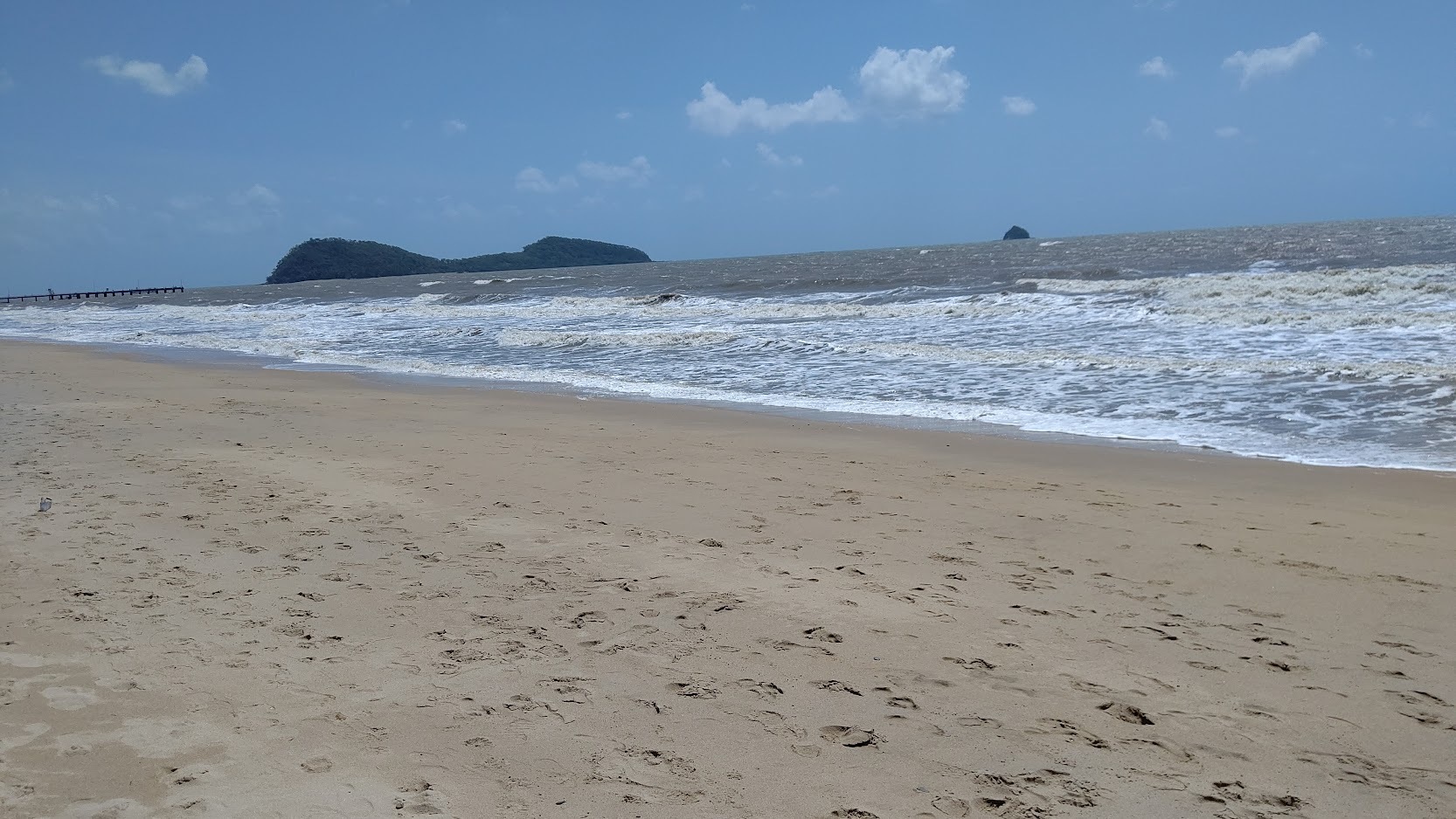 ケアンズ3パームコーヴ: メジロマッコイーン亭日乗Ⅱ